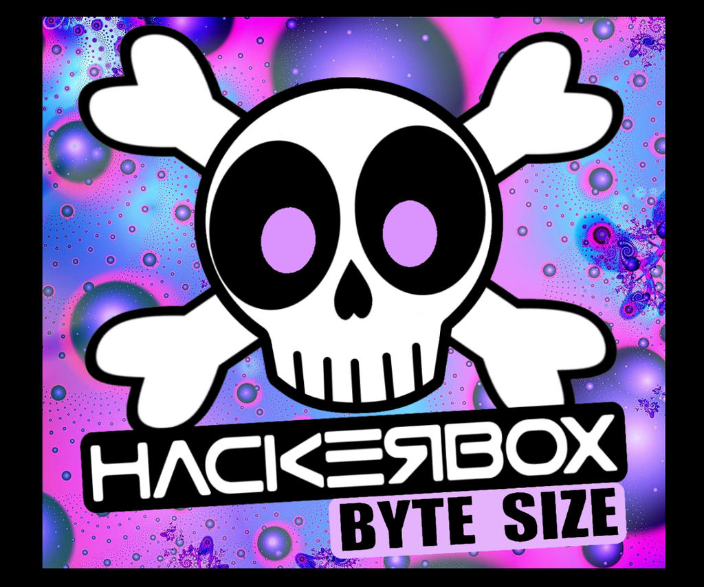 Byte Size Monthly Subscription – HackerBoxes